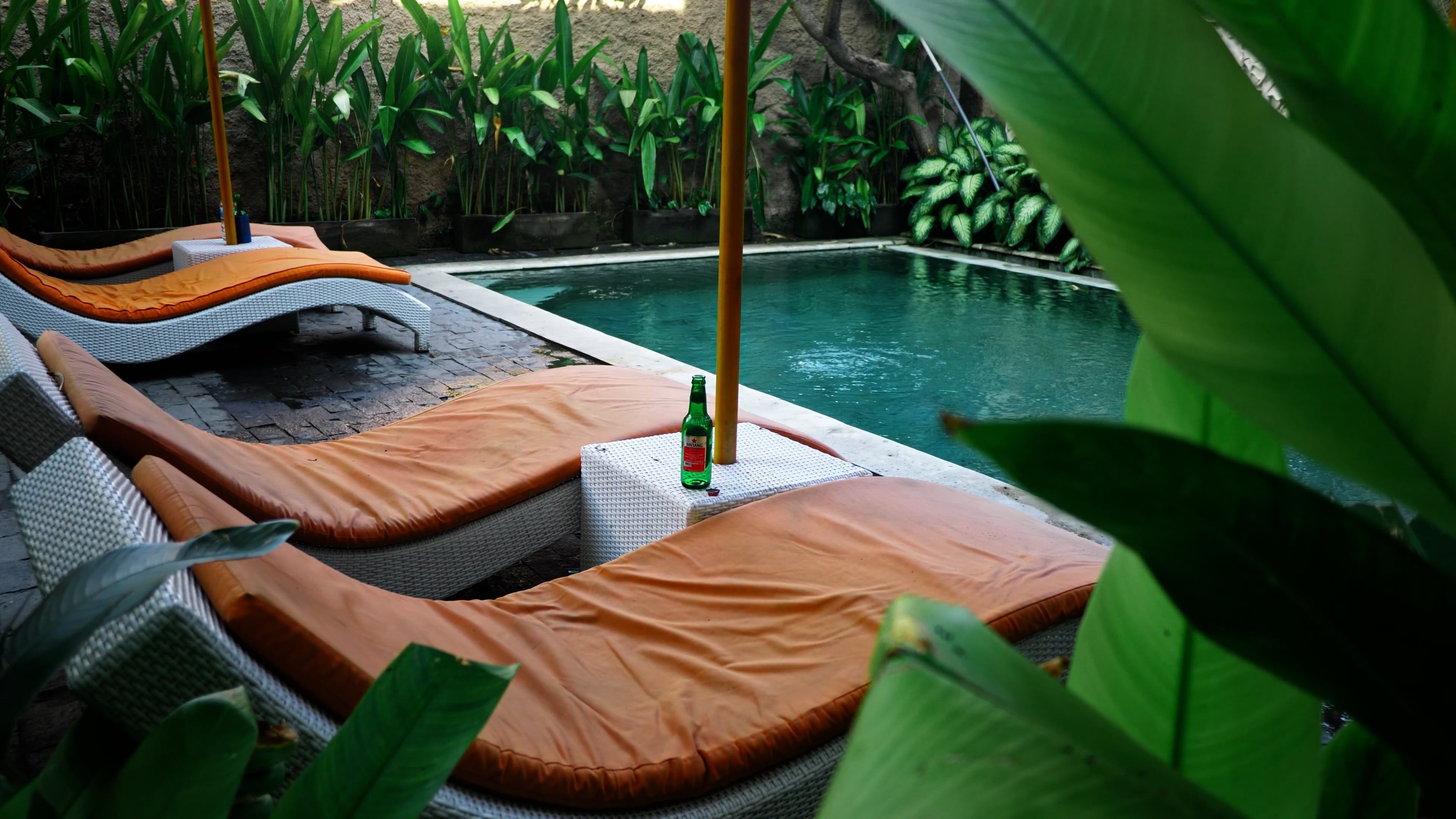 Resort Pool Area With View Of Beach Free Stock Video Footage, Royalty ...
