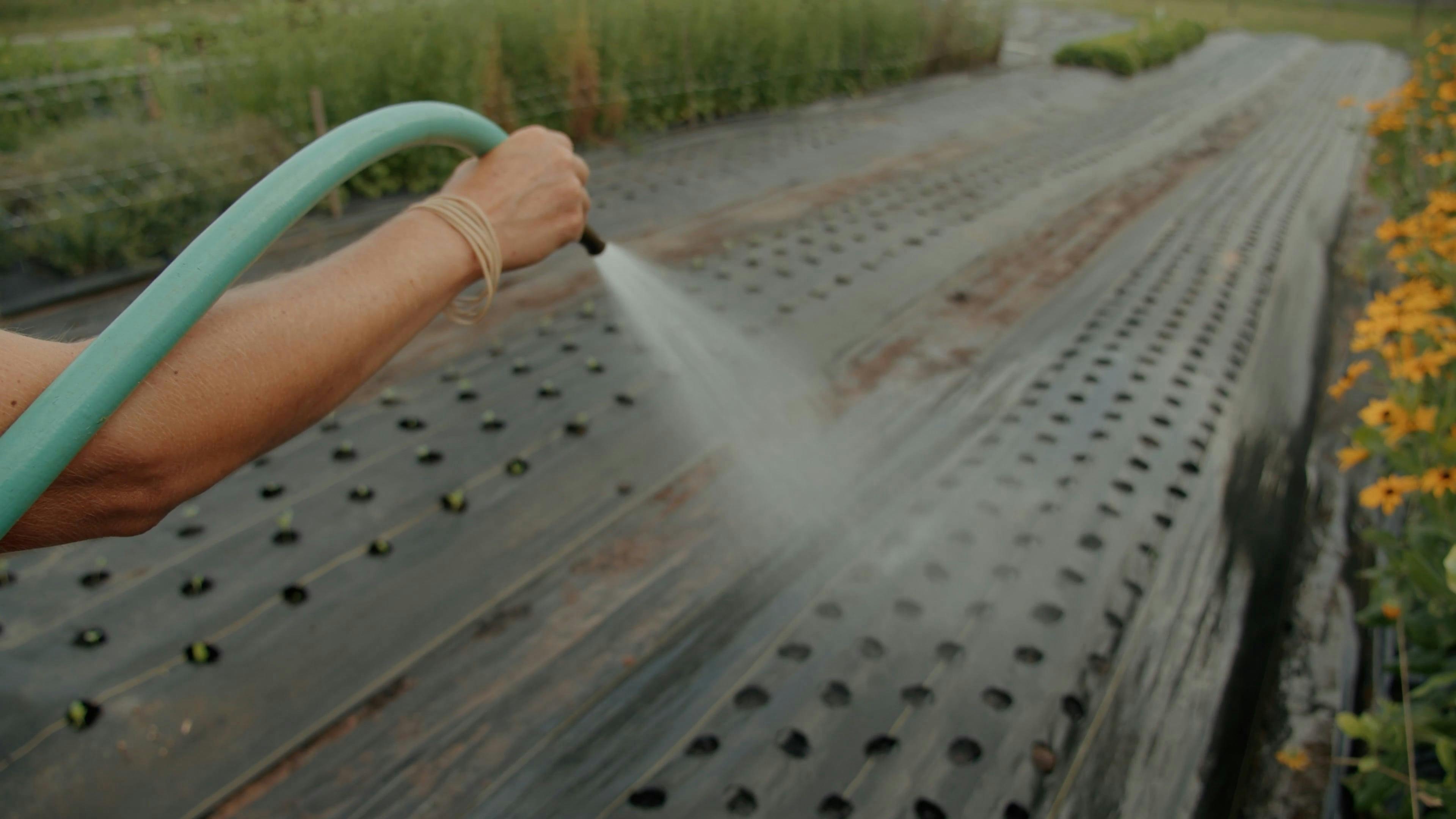 Females hand watering plants with watering equipment Free Stock Video ...