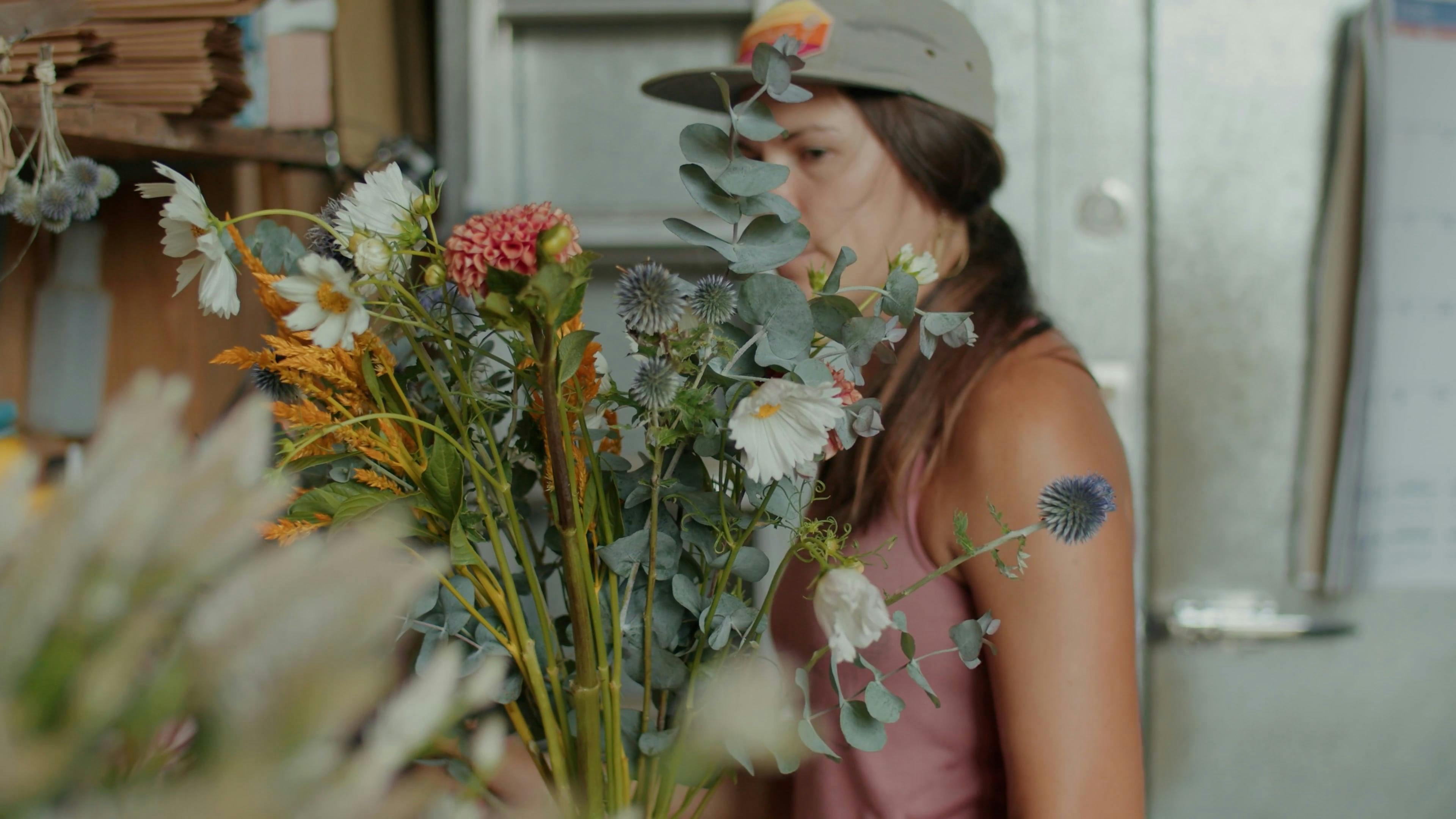 Bloom Cap Videos, Download The BEST Free 4k Stock Video Footage & Bloom Cap HD Video Clips