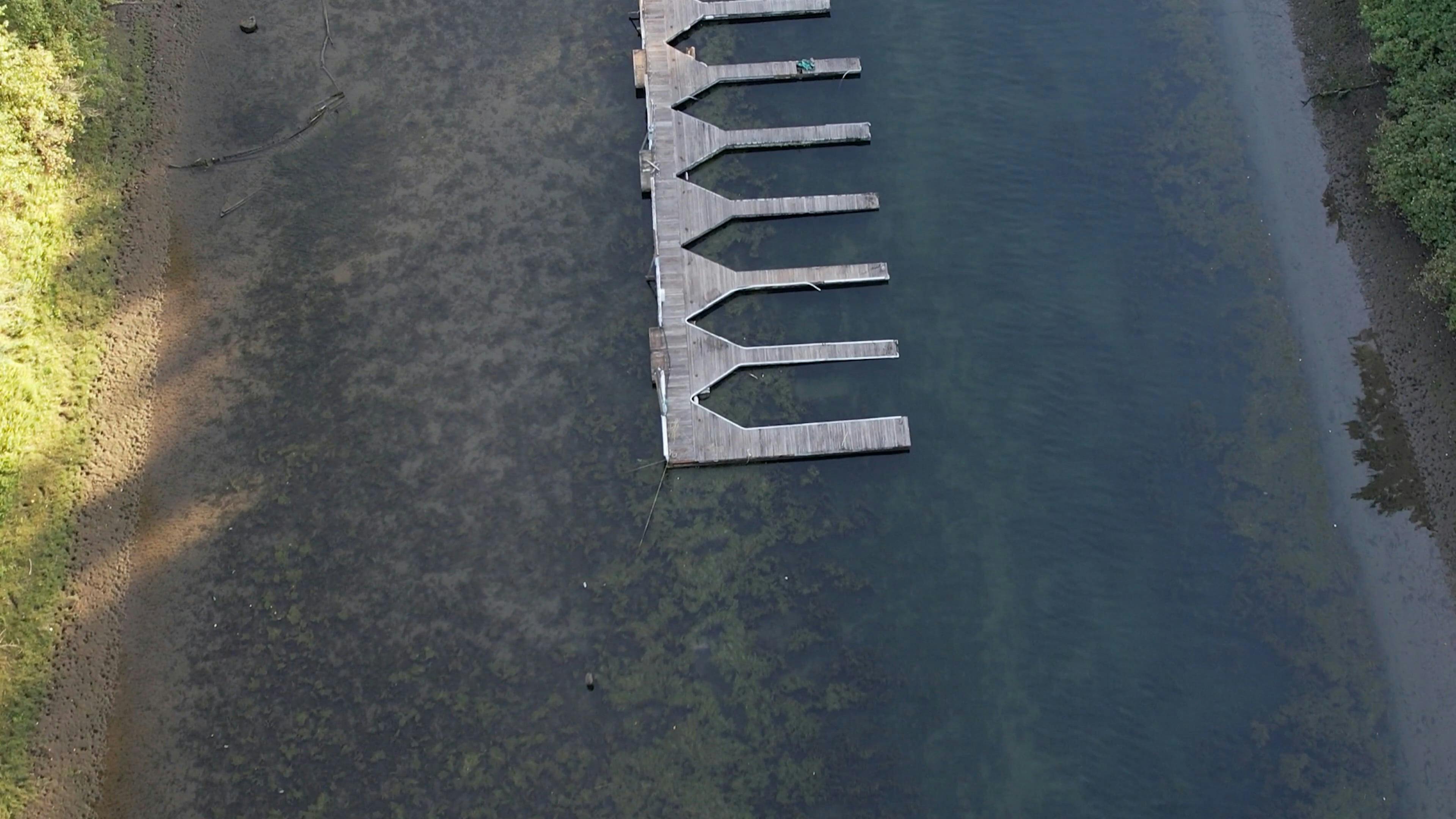 Row Video Videos, Download The BEST Free 4k Stock Video Footage & Row ...