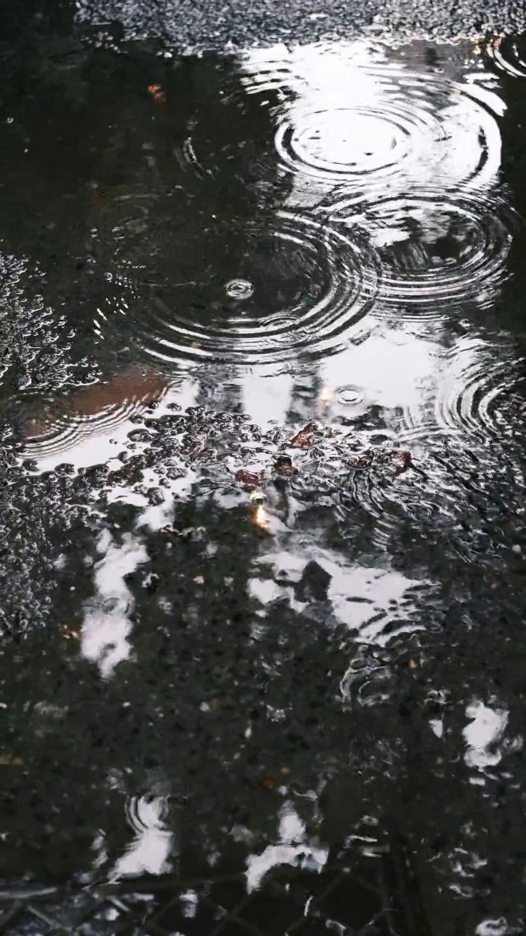 Raindrops falling into puddle Free Stock Video Footage, Royalty-Free 4K ...