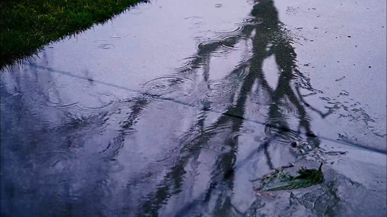 Droplets of Rain Water on the Ground Free Stock Video Footage, Royalty ...
