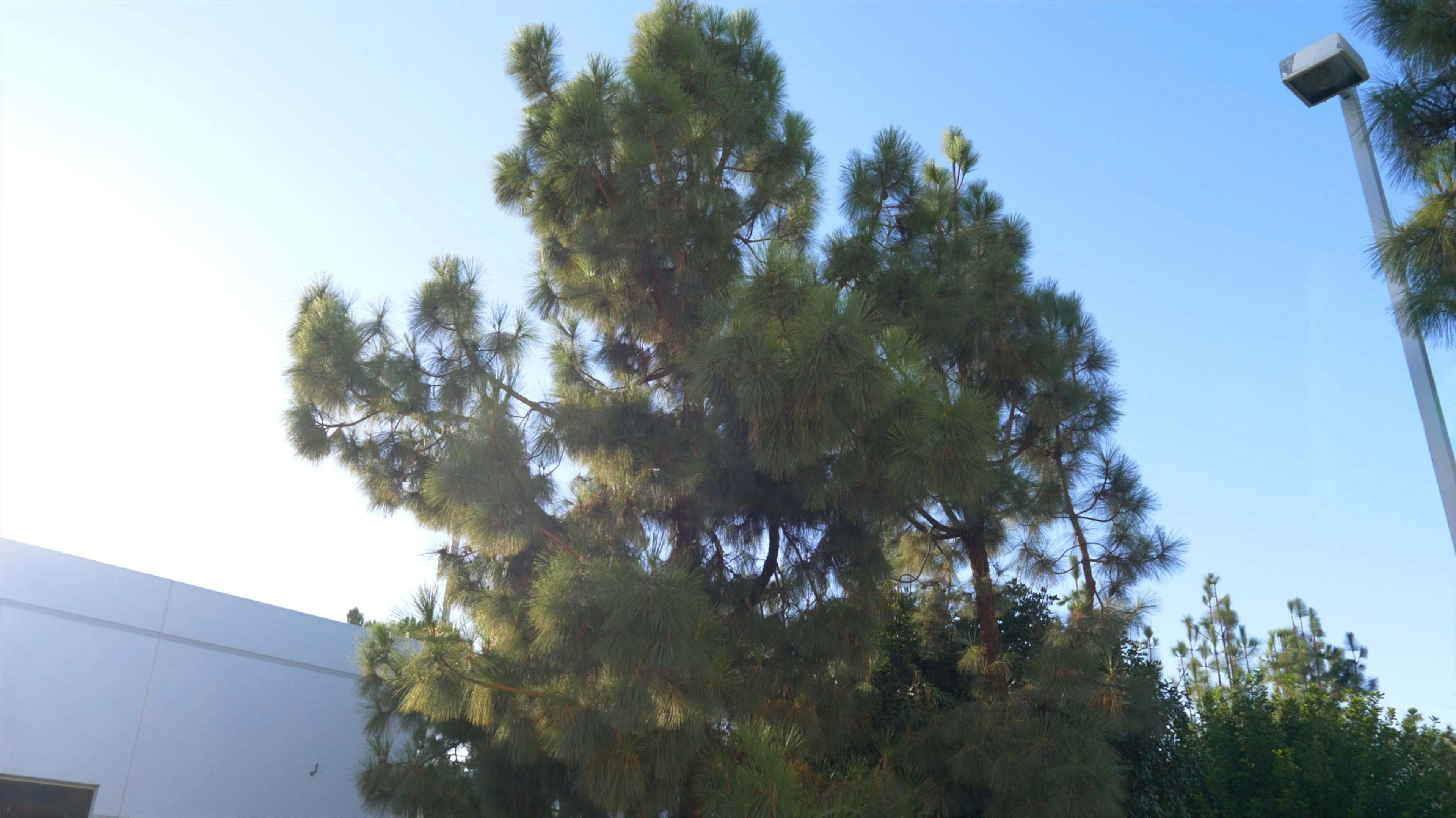 Install Landscaping Videos, Download The BEST Free 4k Stock Video ...