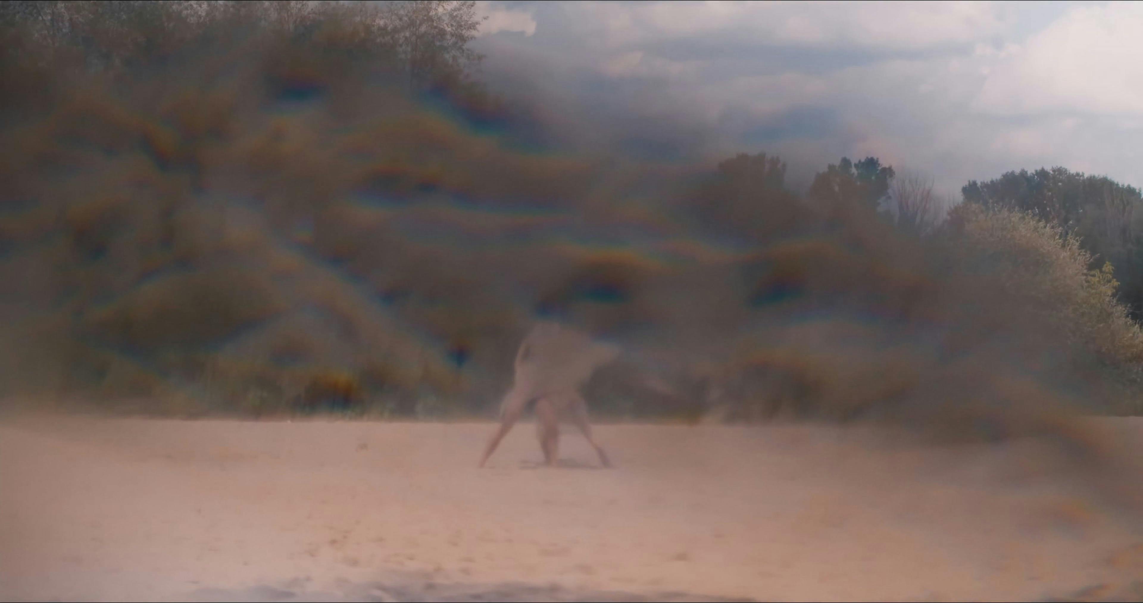 Trees Minimal Art Videos, Download The BEST Free 4k Stock Video Footage ...