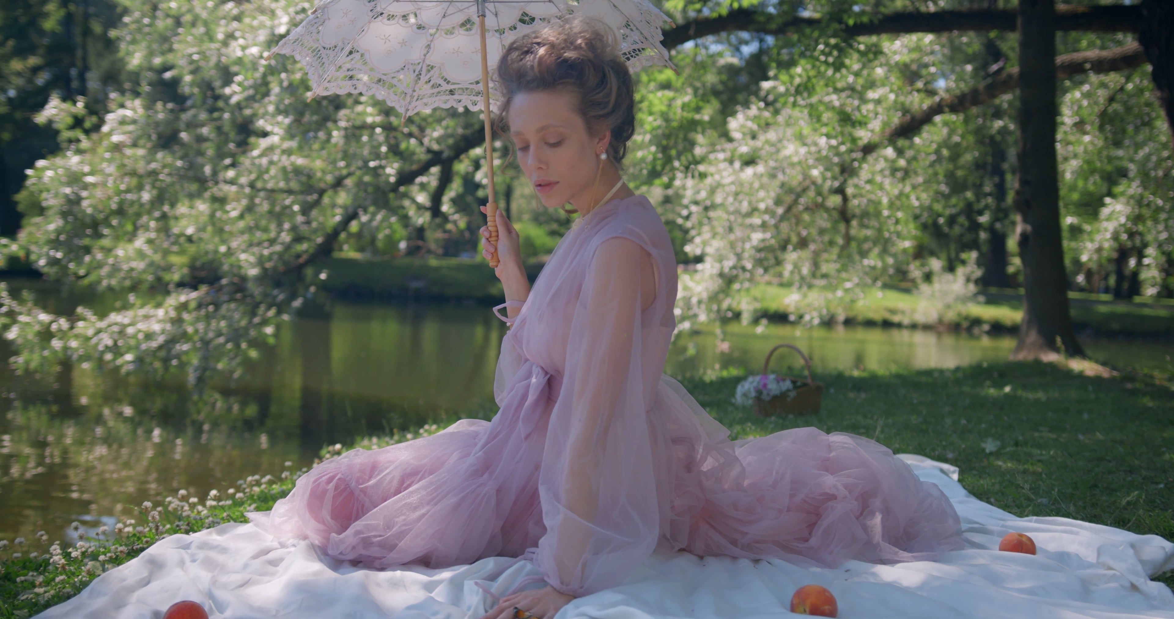 Vintage Butterflies Videos, Download The BEST Free 4k Stock Video ...