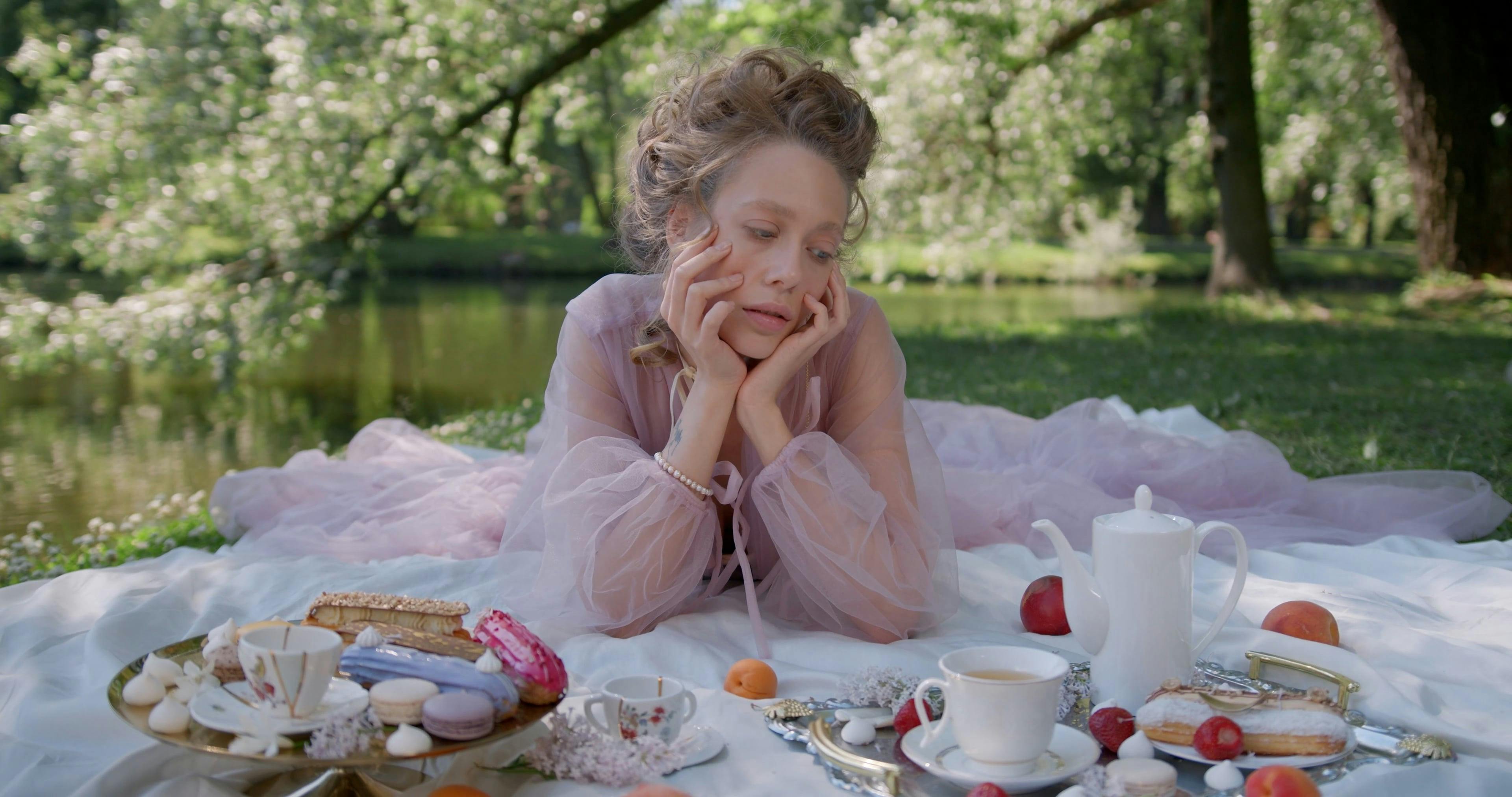 Fine Trees Videos, Download The BEST Free 4k Stock Video Footage & Fine ...