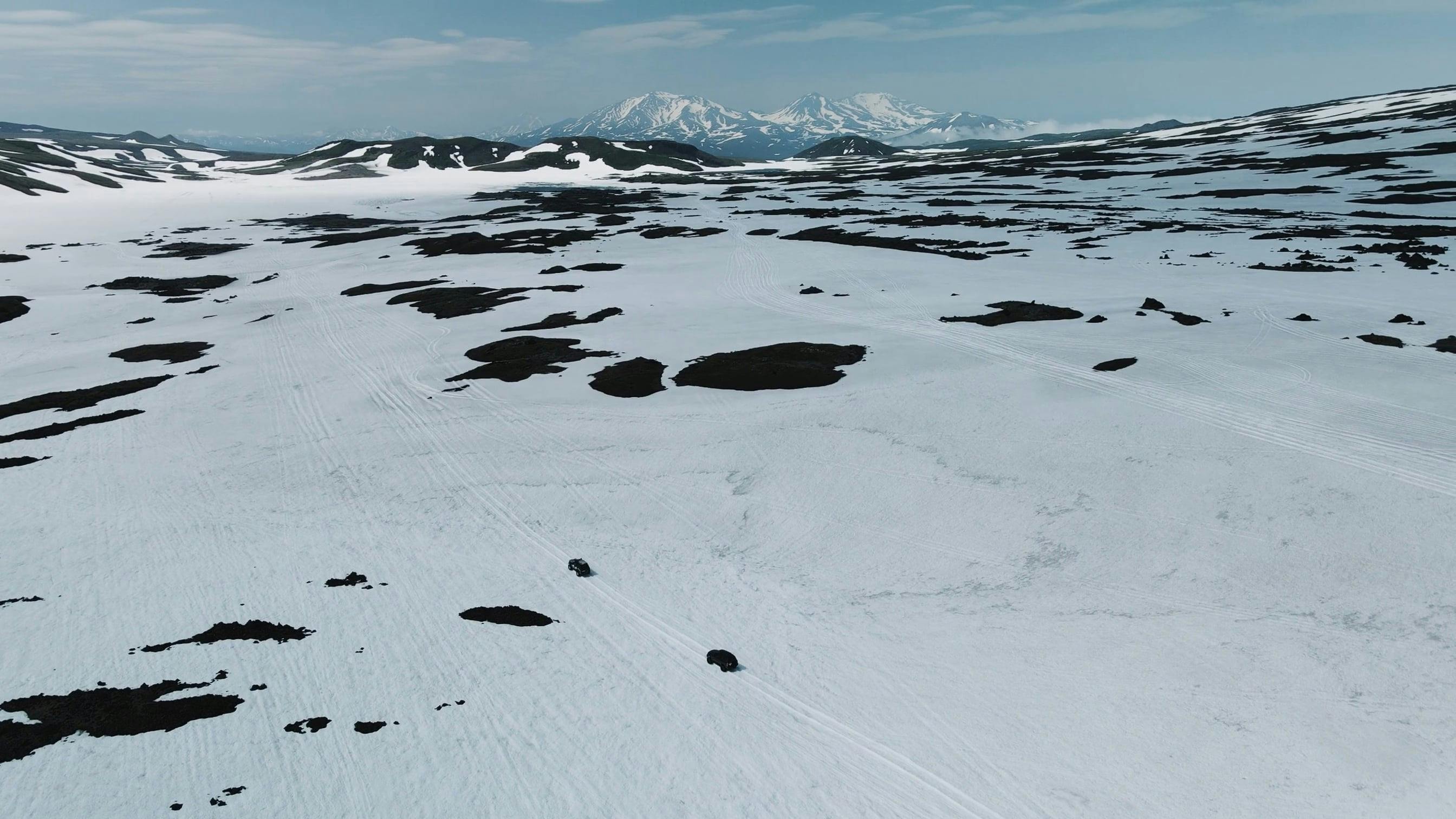 Artic Polar Bears Videos, Download The BEST Free 4k Stock Video Footage ...