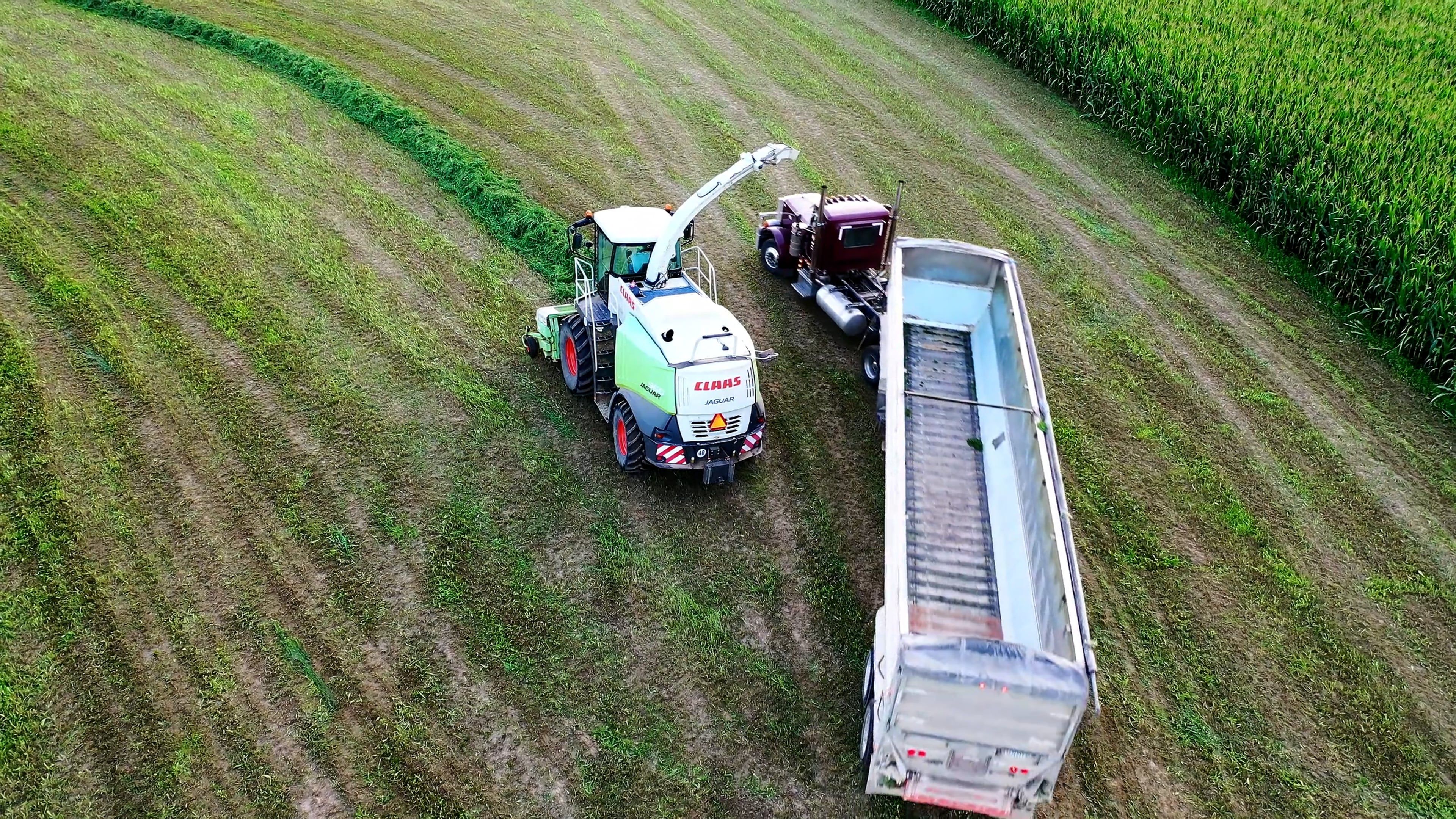 A Tractor and a Truck Harvesting the Crops Free Stock Video Footage ...
