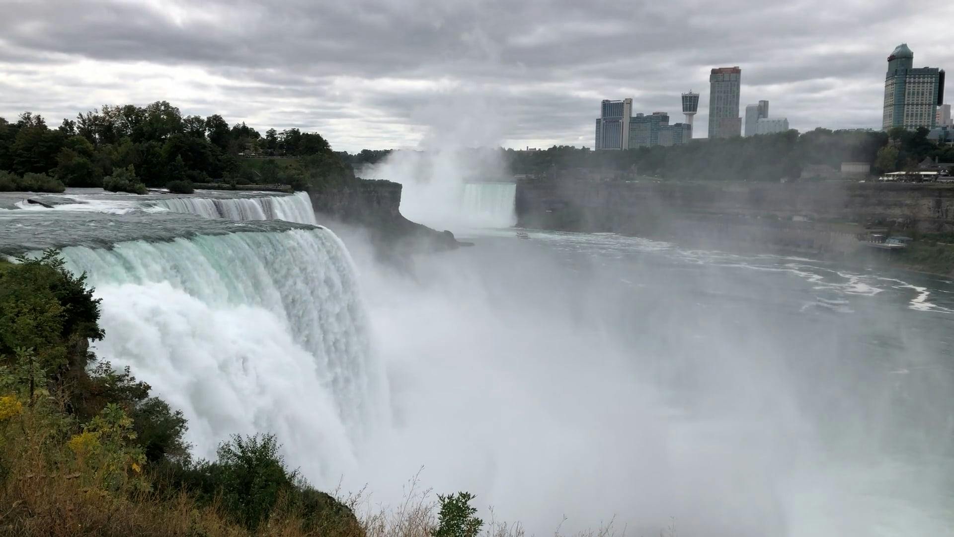 Mighty Midget Videos, Download The BEST Free 4k Stock Video Footage ...