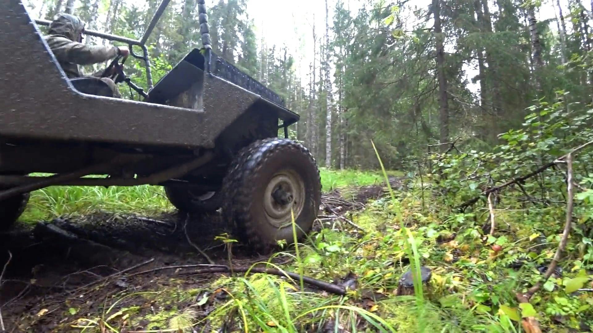 A Moving Buggy Car on a Forest Free Stock Video Footage, Royalty-Free ...