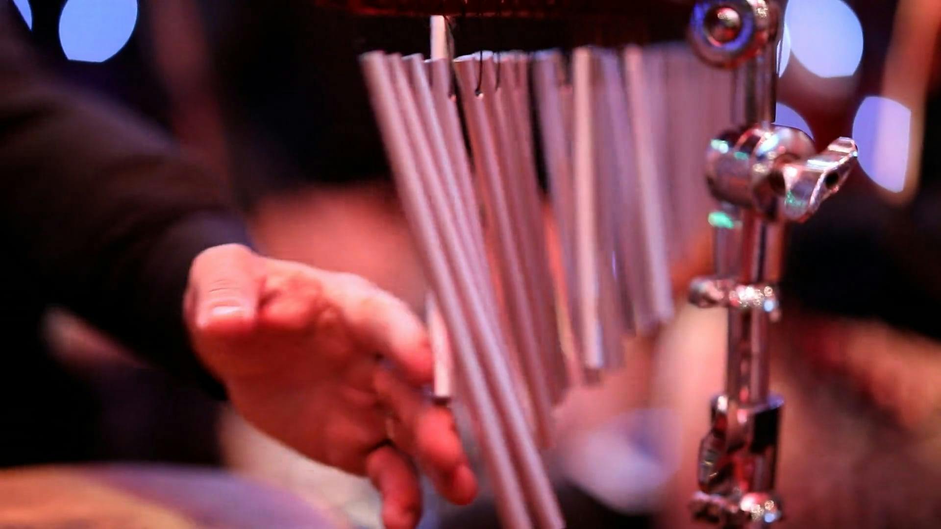 Close up on playing musical instrument Free Stock Video Footage ...