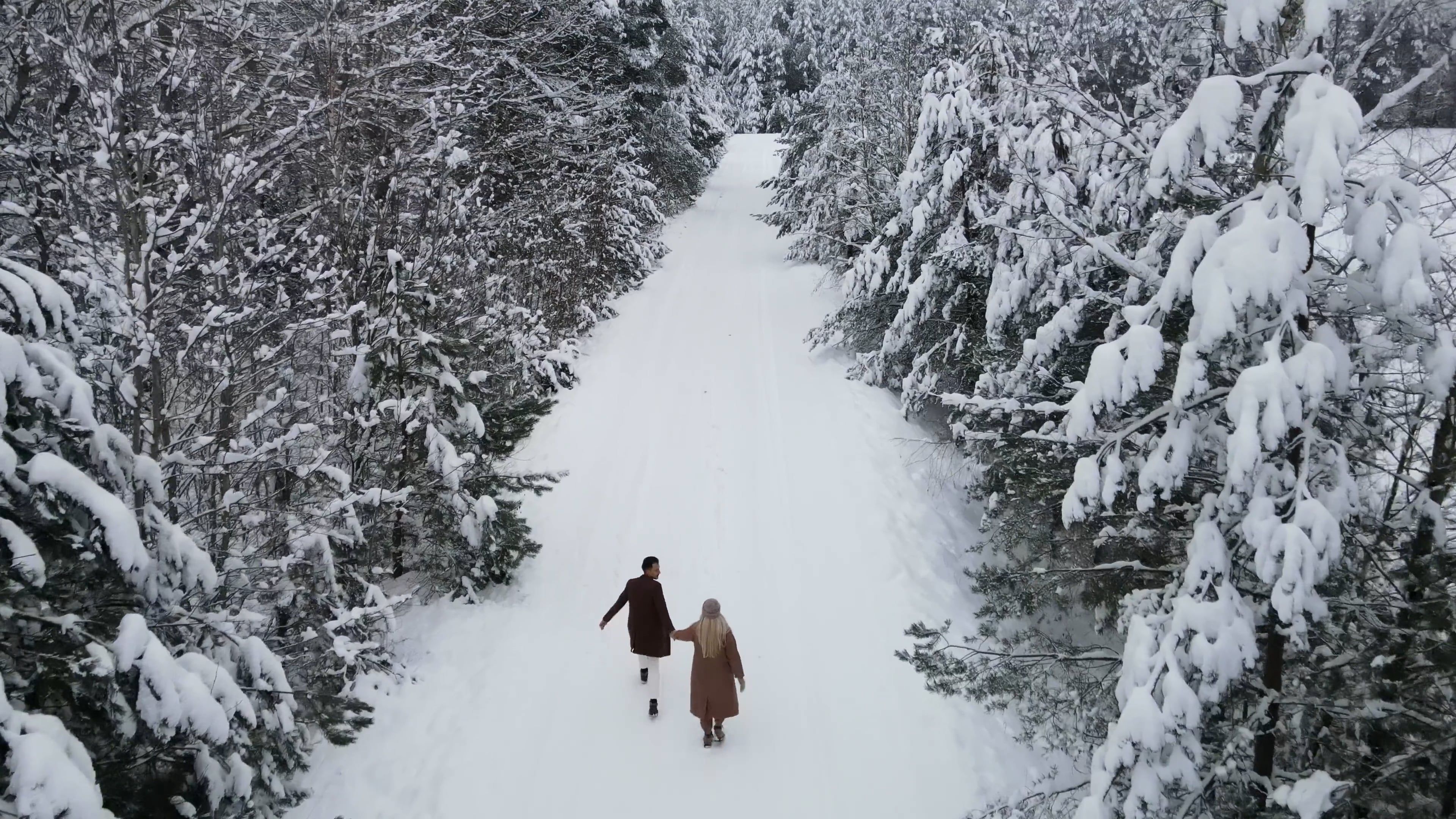 Walking Path Together Videos, Download The BEST Free 4k Stock Video ...