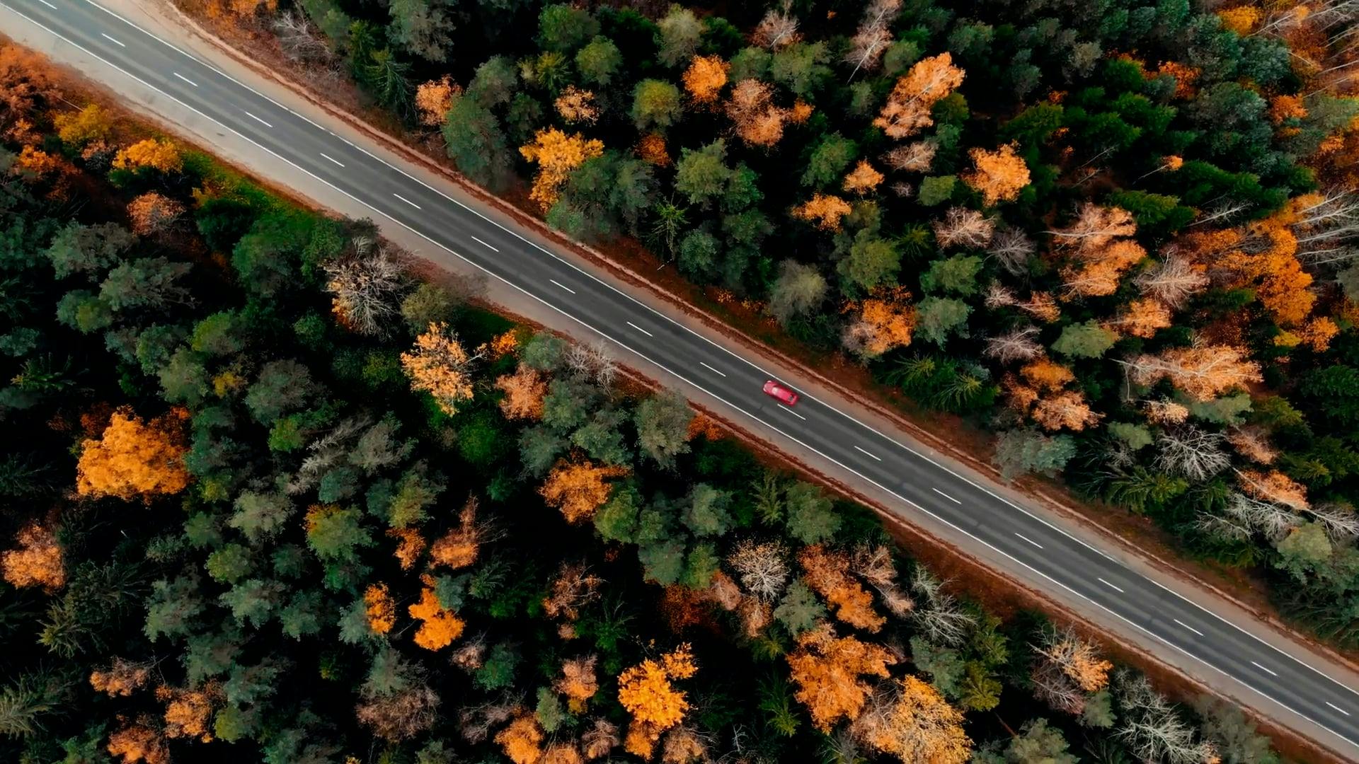Birds Eye View of a Road Going through a Dense Forest Free Stock Video ...
