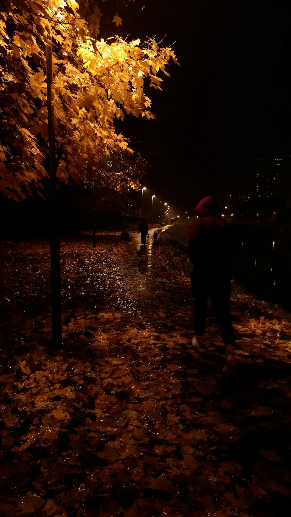 Running At Night Videos, Download The BEST Free 4k Stock Video Footage ...