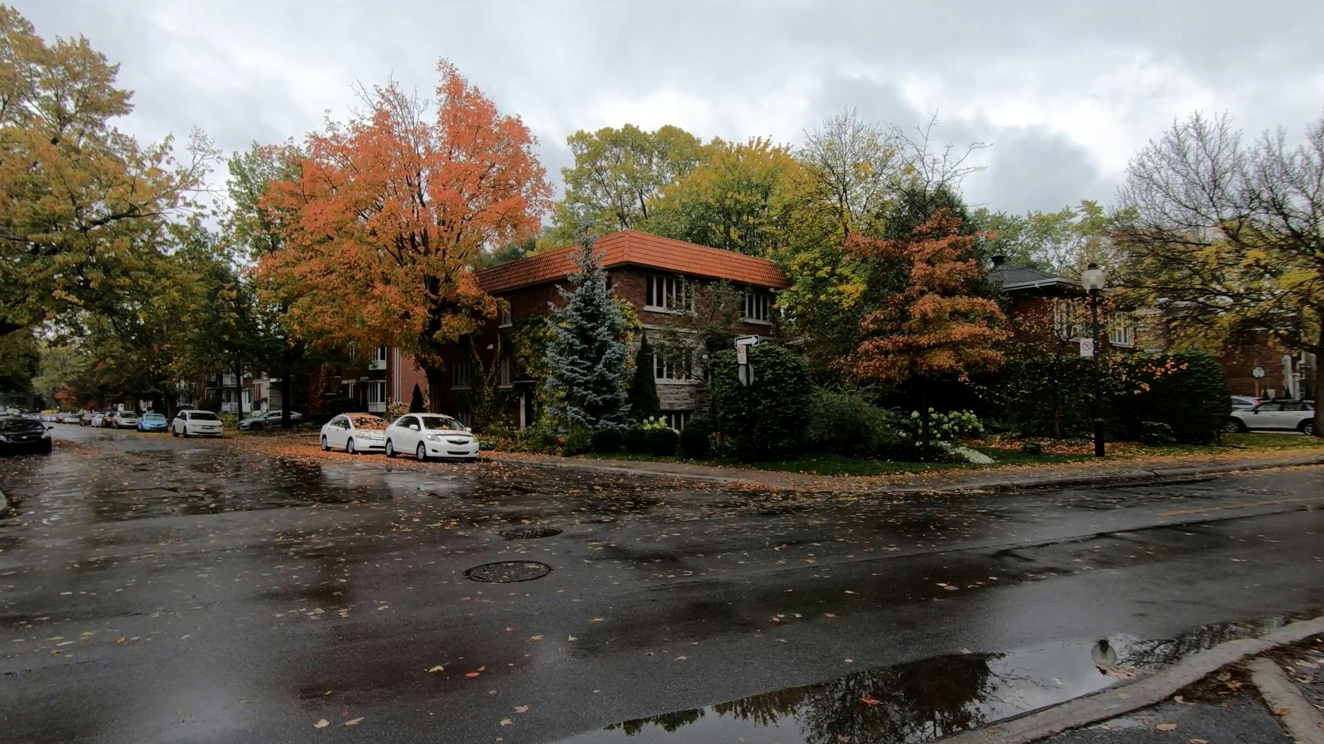 Rain and Street in Suburbs in Autumn Free Stock Video Footage, Royalty ...