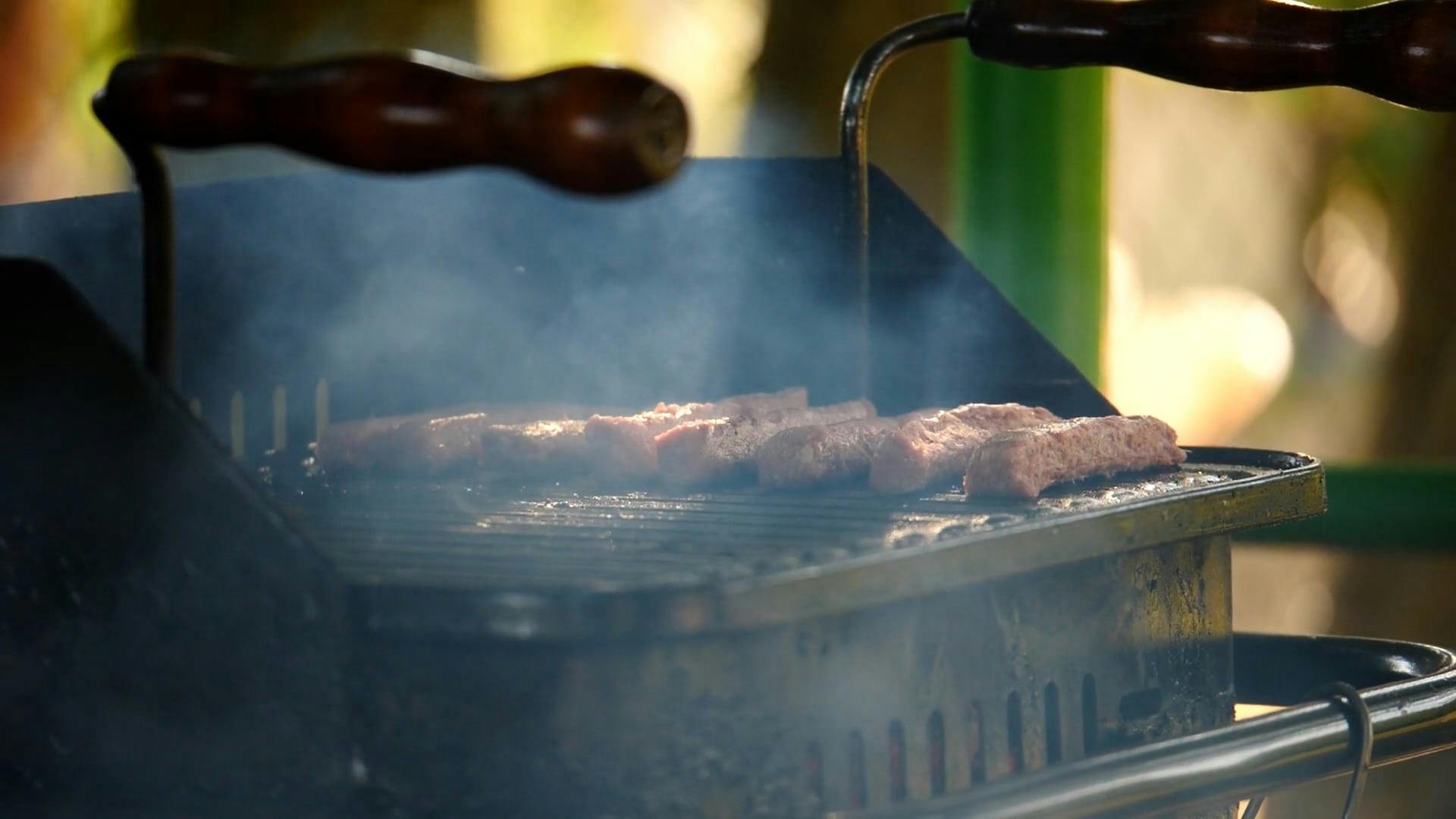Cooking Barbecue On Stick In A Charcoal Grill Free Stock Video Footage ...