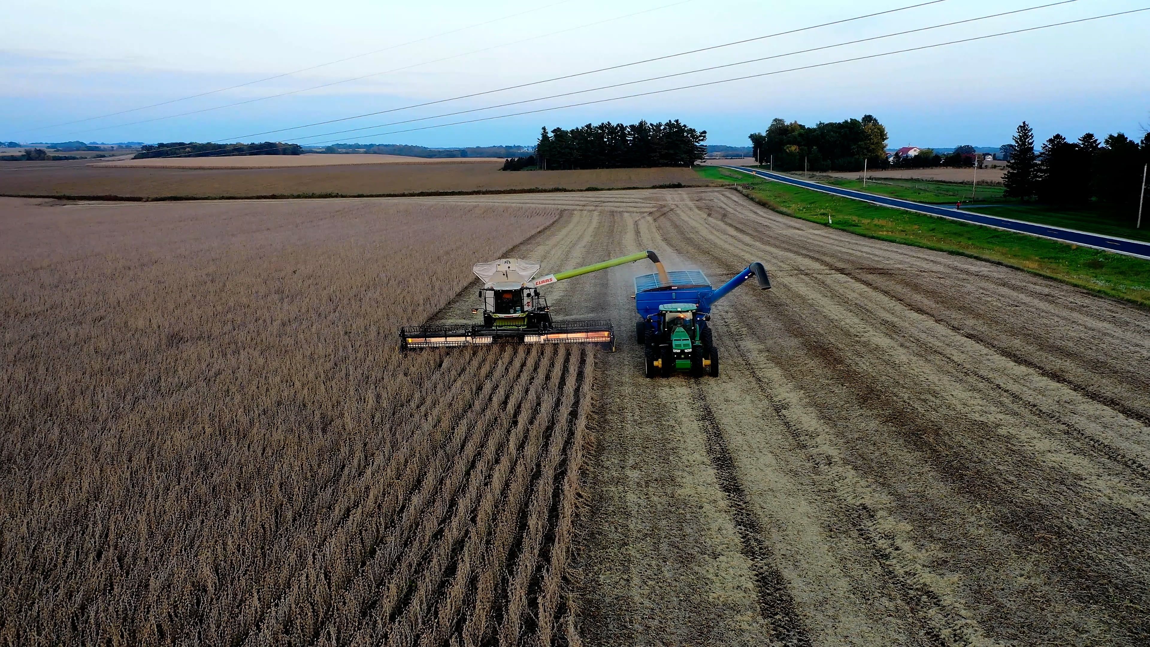 Field Soybean Videos, Download The BEST Free 4k Stock Video Footage ...