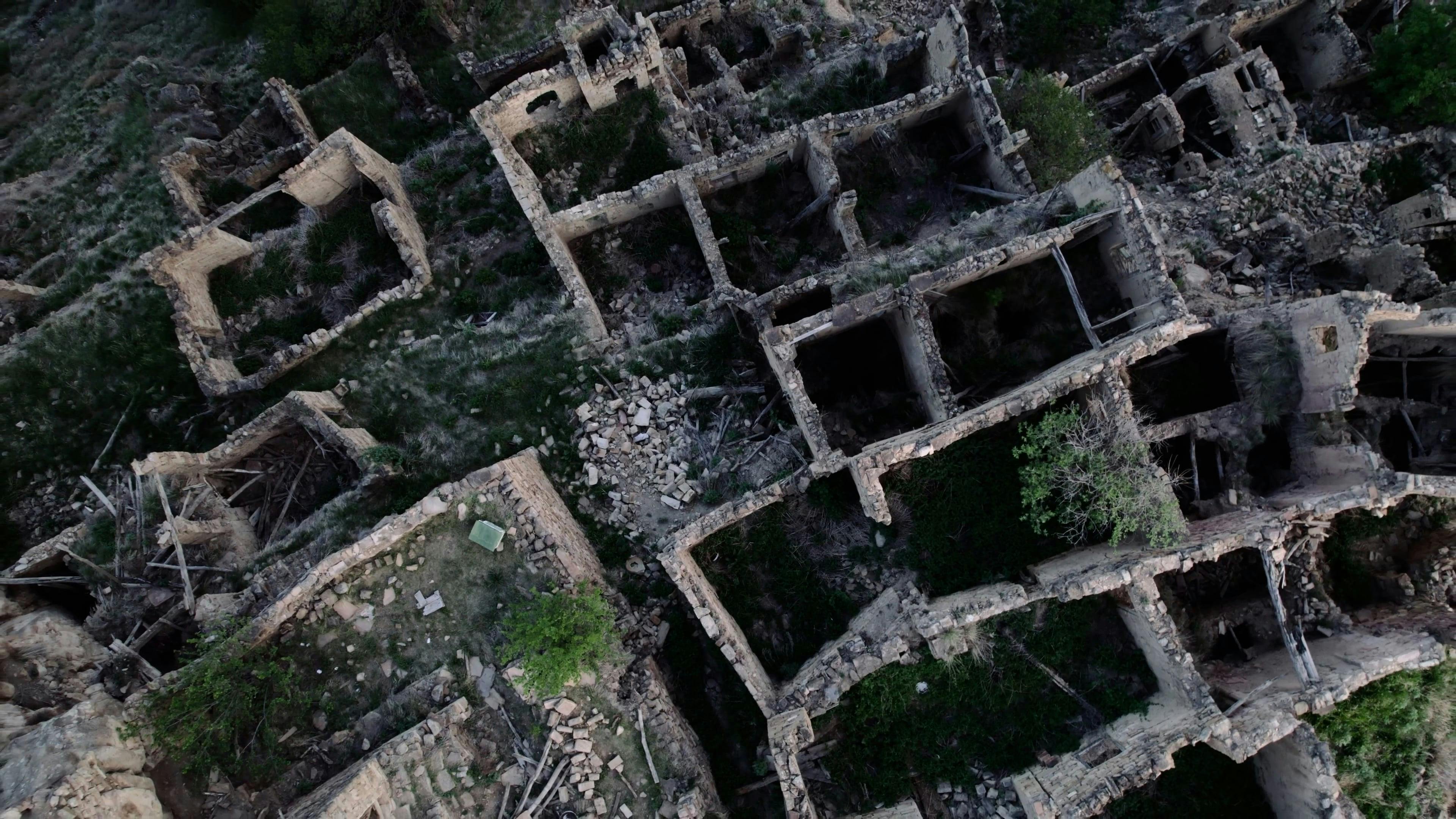 Site Wild Videos, Download The BEST Free 4k Stock Video Footage & Site ...