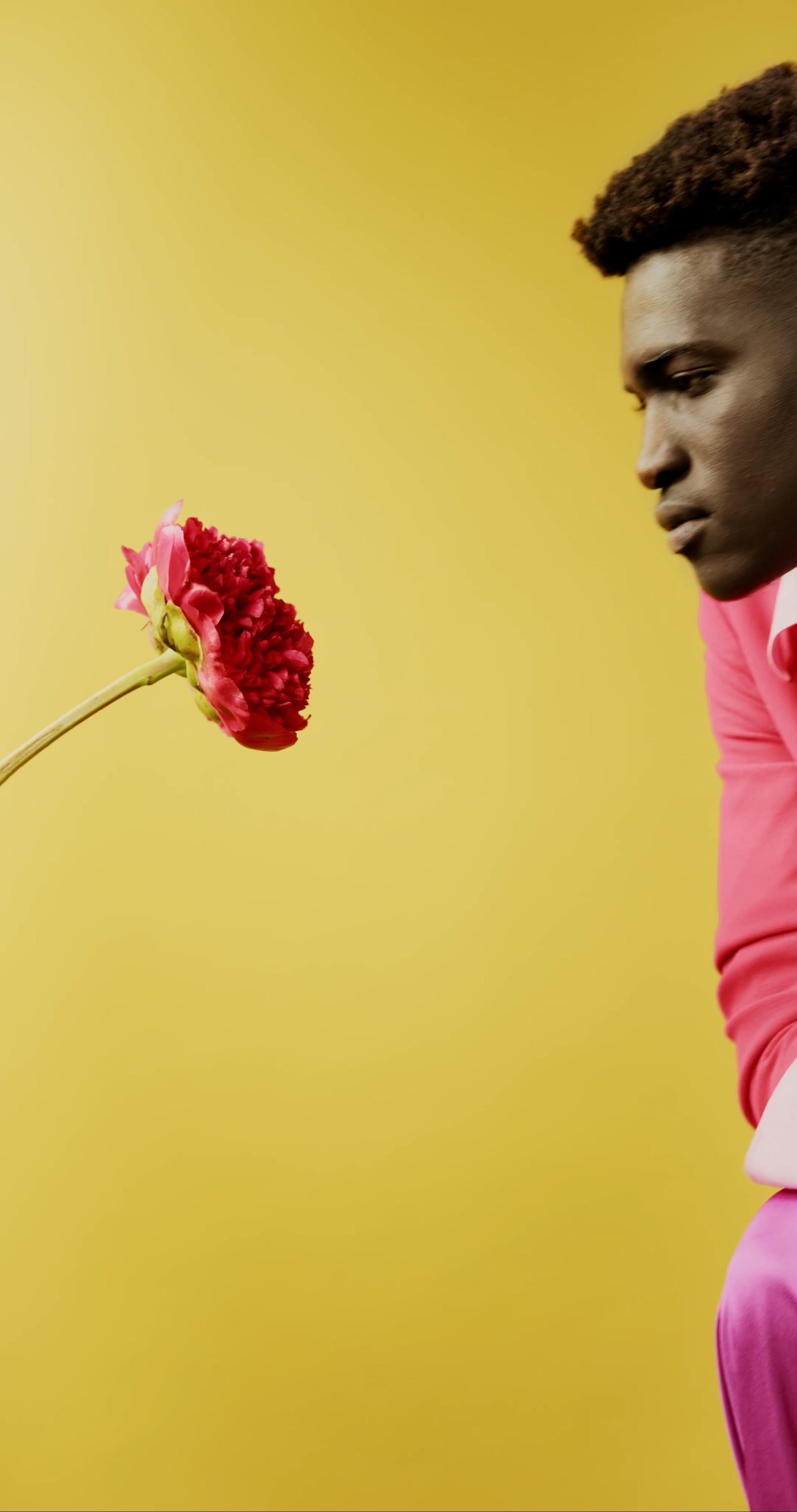 Person Smelling a Flower Free Stock Video Footage, Royalty-Free 4K & HD ...