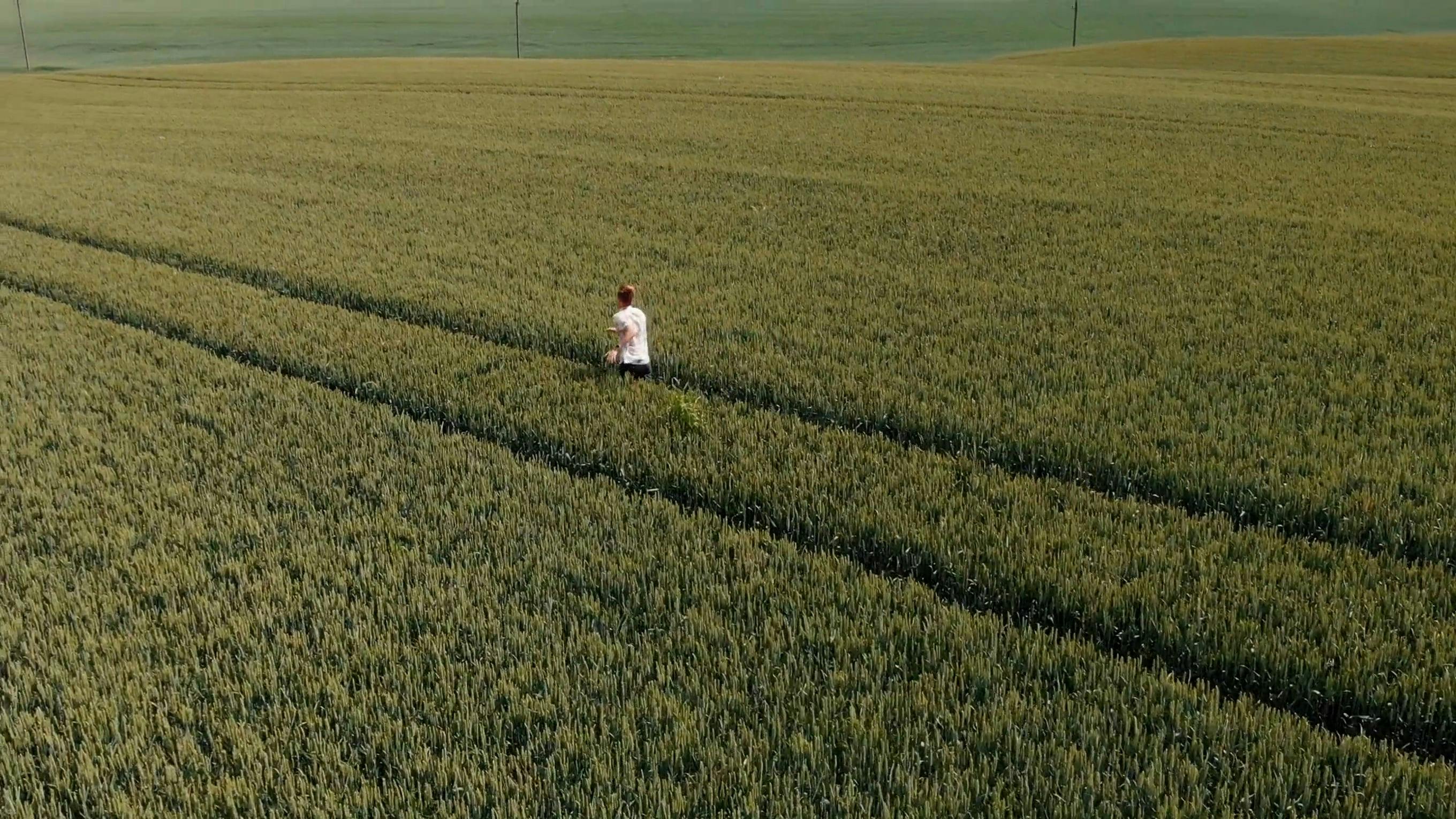 Man Running through Fields Free Stock Video Footage, Royalty-Free 4K ...
