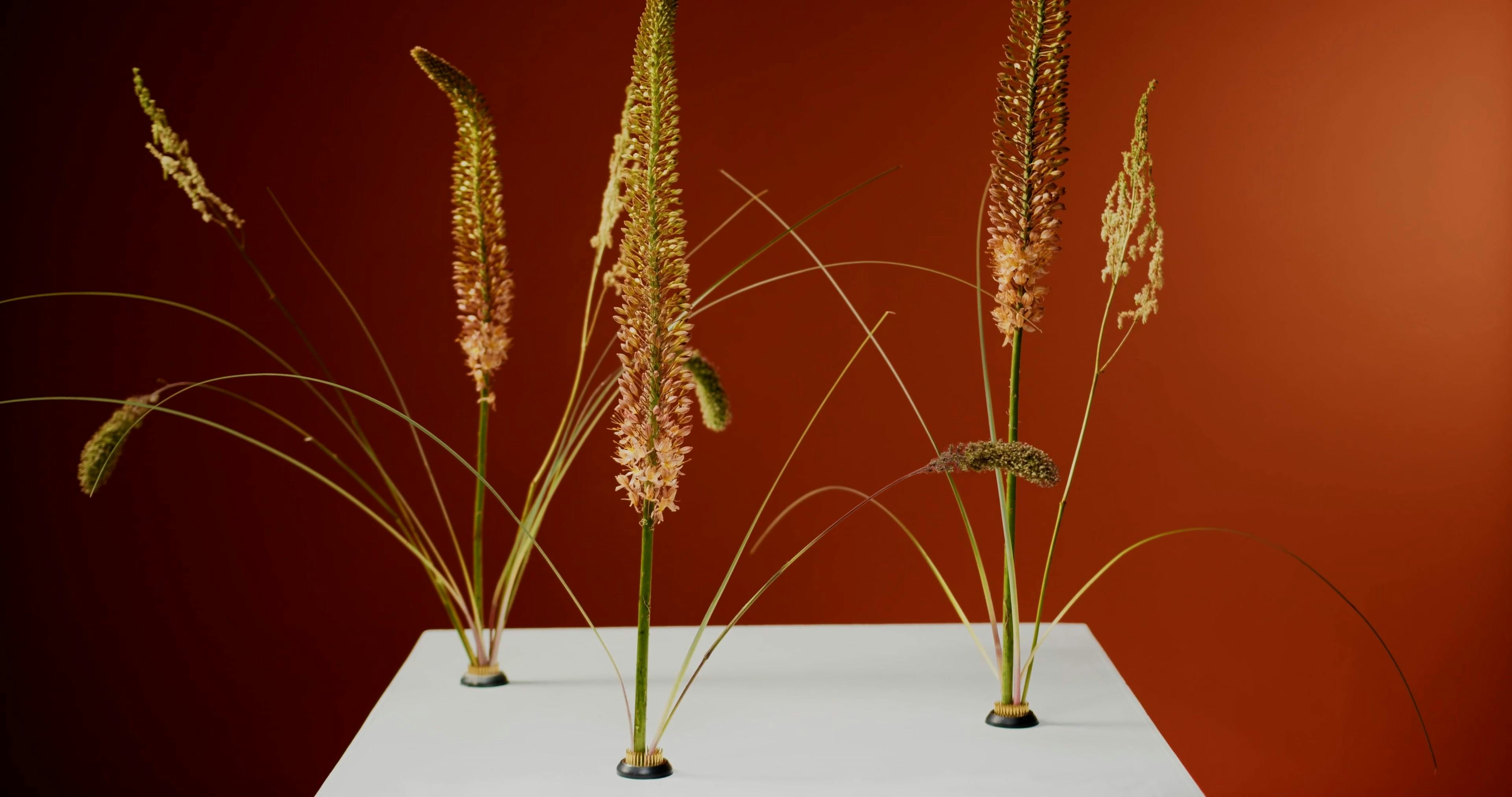 Esthetic Photography Videos, Download The BEST Free 4k Stock Video ...