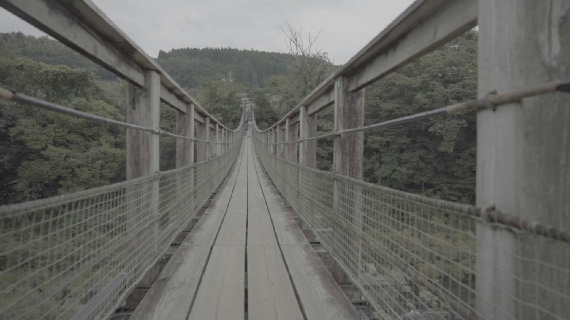 4,000+ Best Rope Bridge Videos · 100% Free Download · Pexels Stock Videos