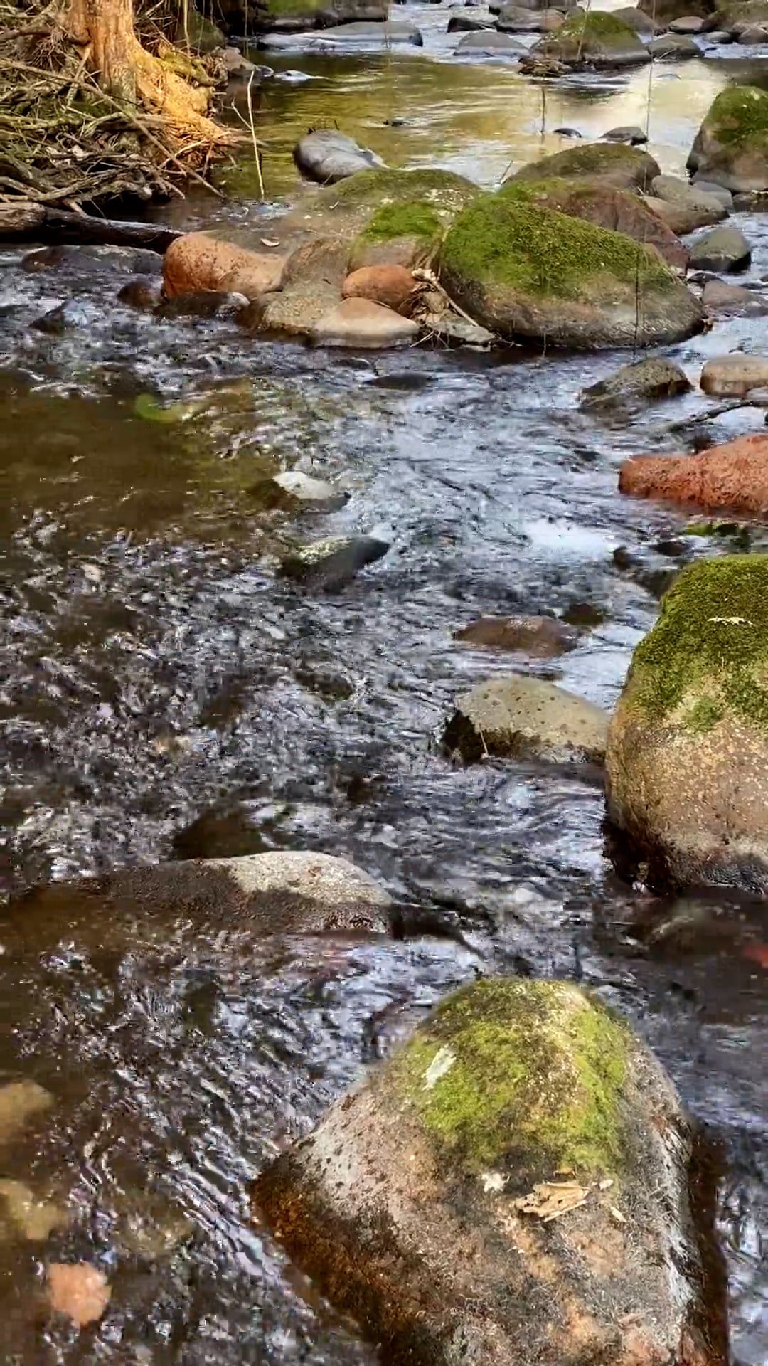 Close up on Water Flowing in Stream Free Stock Video Footage, Royalty ...