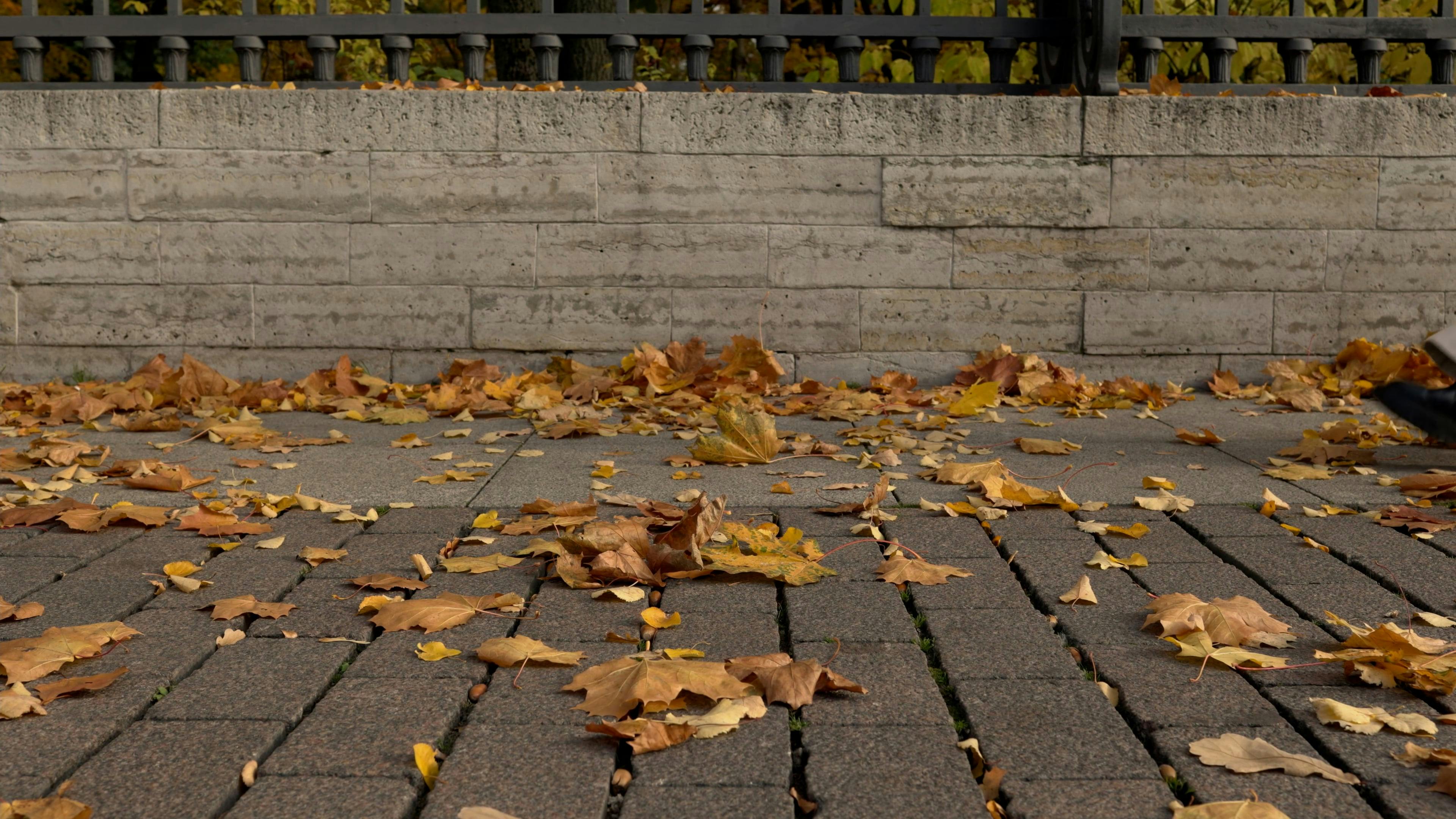 Transition To Levels Videos, Download The BEST Free 4k Stock Video ...