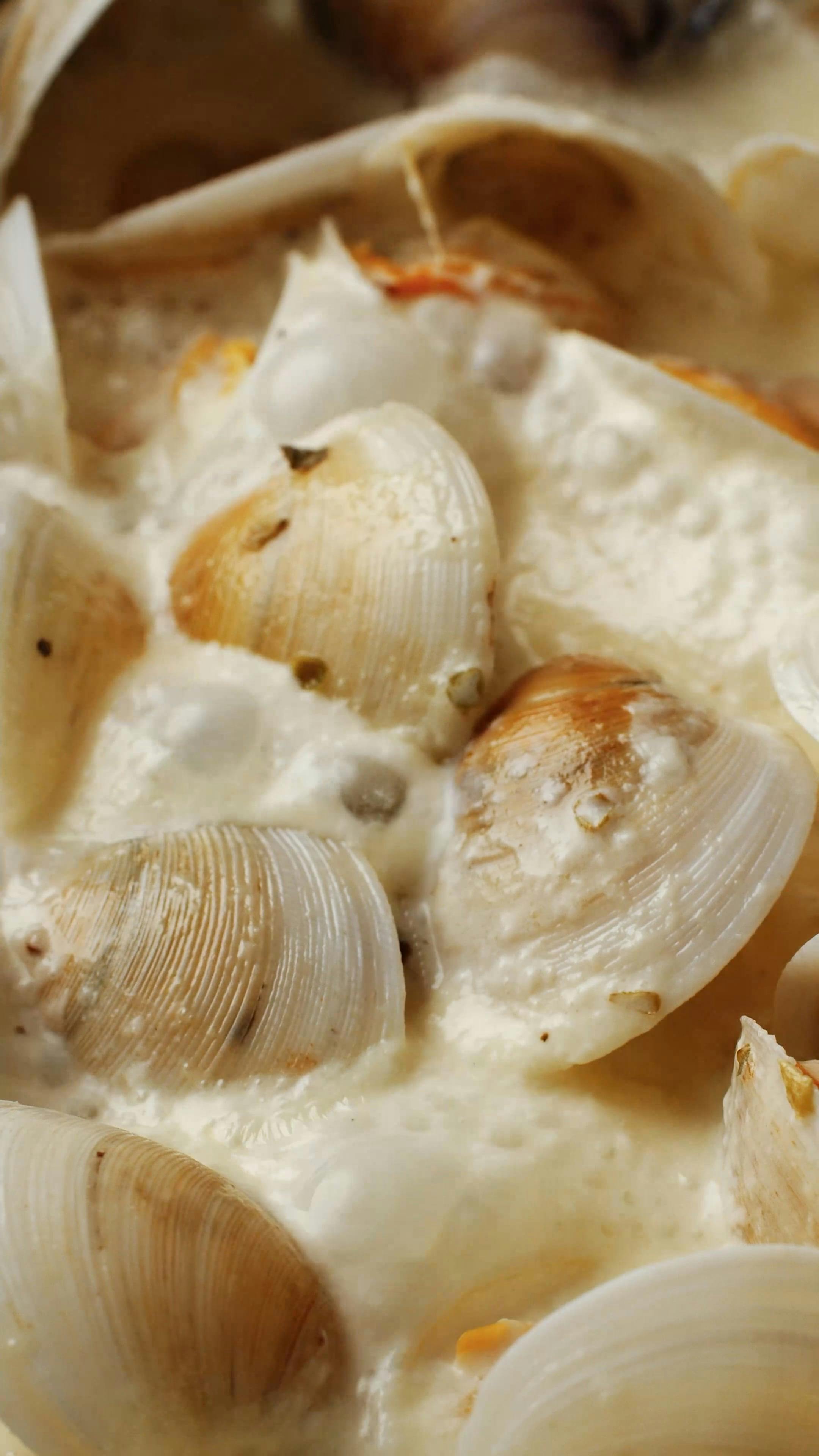 Clam Videos, Download The BEST Free 4k Stock Video Footage & Clam HD ...