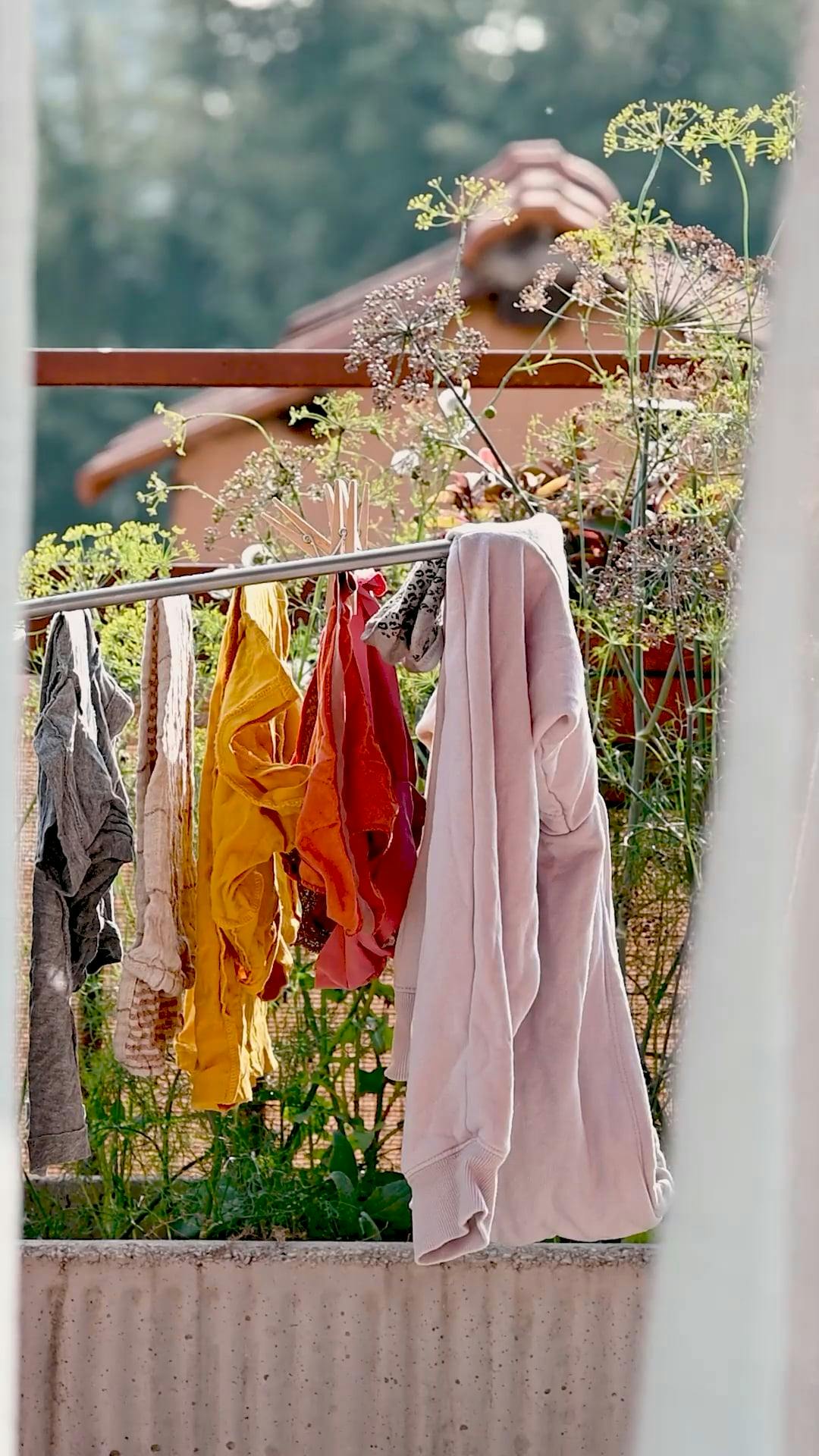 Summer Clothes Images Videos, Download The BEST Free 4k Stock Video ...